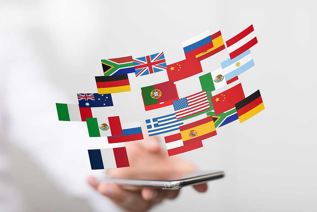 Implement Easy Language Translation on Your Website - Robintek ...
