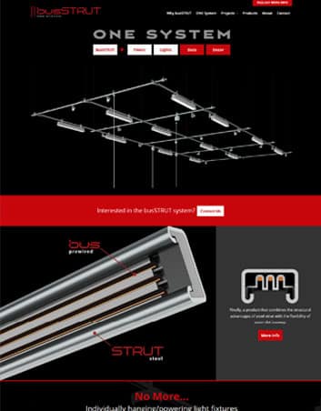 busSTRUT - Robintek: Graphic Design & Website Design Ohio