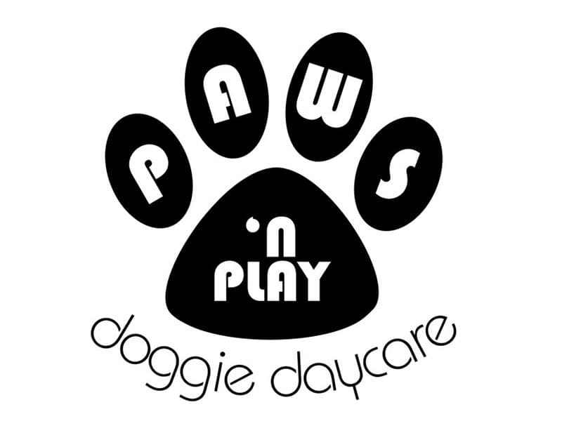 Paws 'n Play - Robintek: Columbus Website Design, Graphic Design & SEO ...