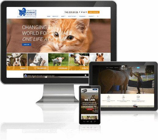 Custom Web Designs for Pet Care, Veterinary and Animal Services