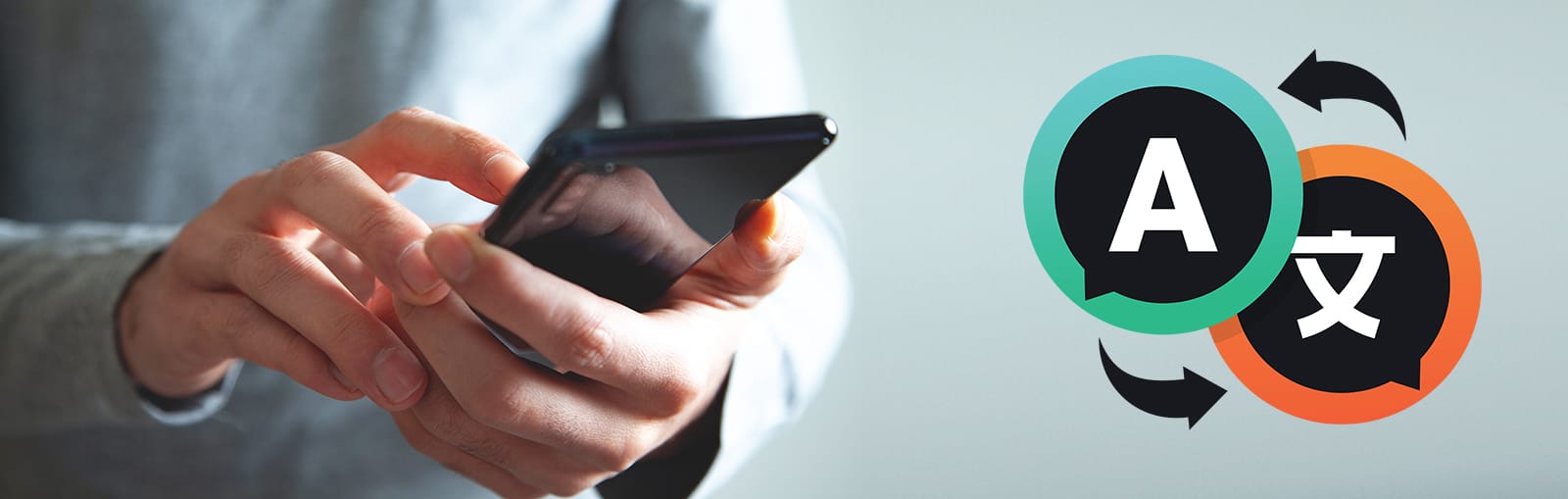 Implement Easy Language Translation on Your Website - Robintek ...